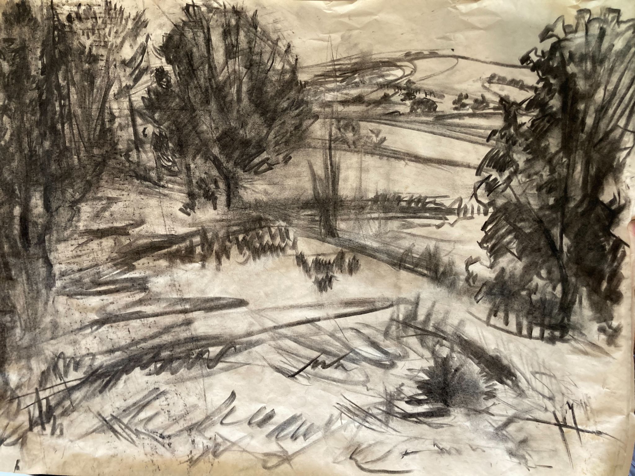 Drawing – Peter Harrap